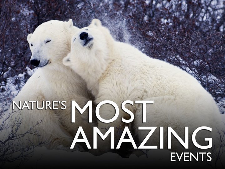 Nature Amazing Events